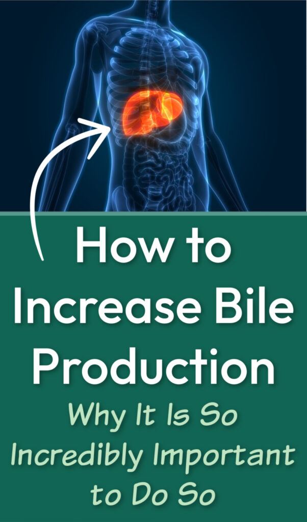 How to Increase Bile Flow and Why It Is So Important to Do So
