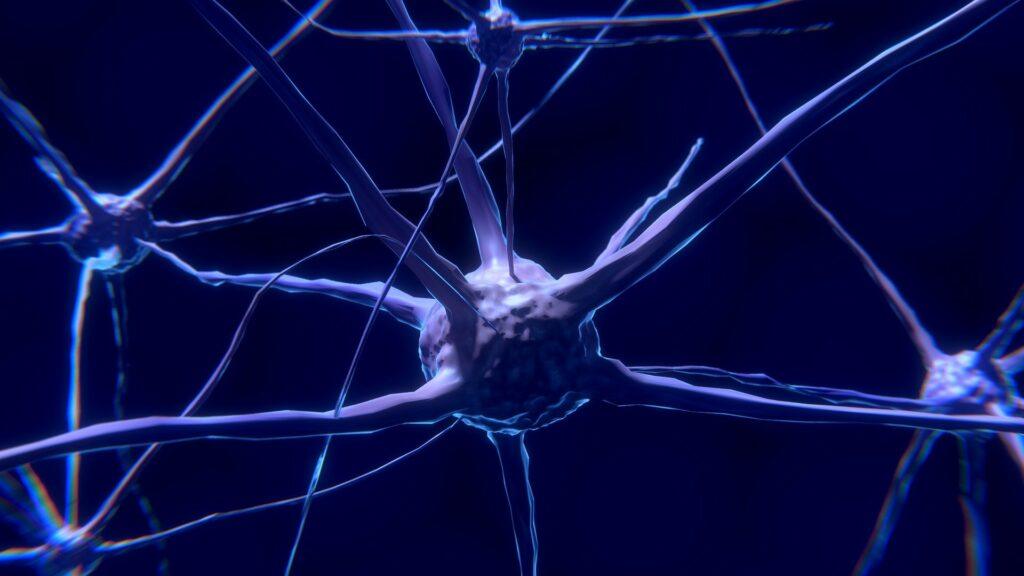 Dynamic Neural Retraining System: A Potentially Life Changing Tool