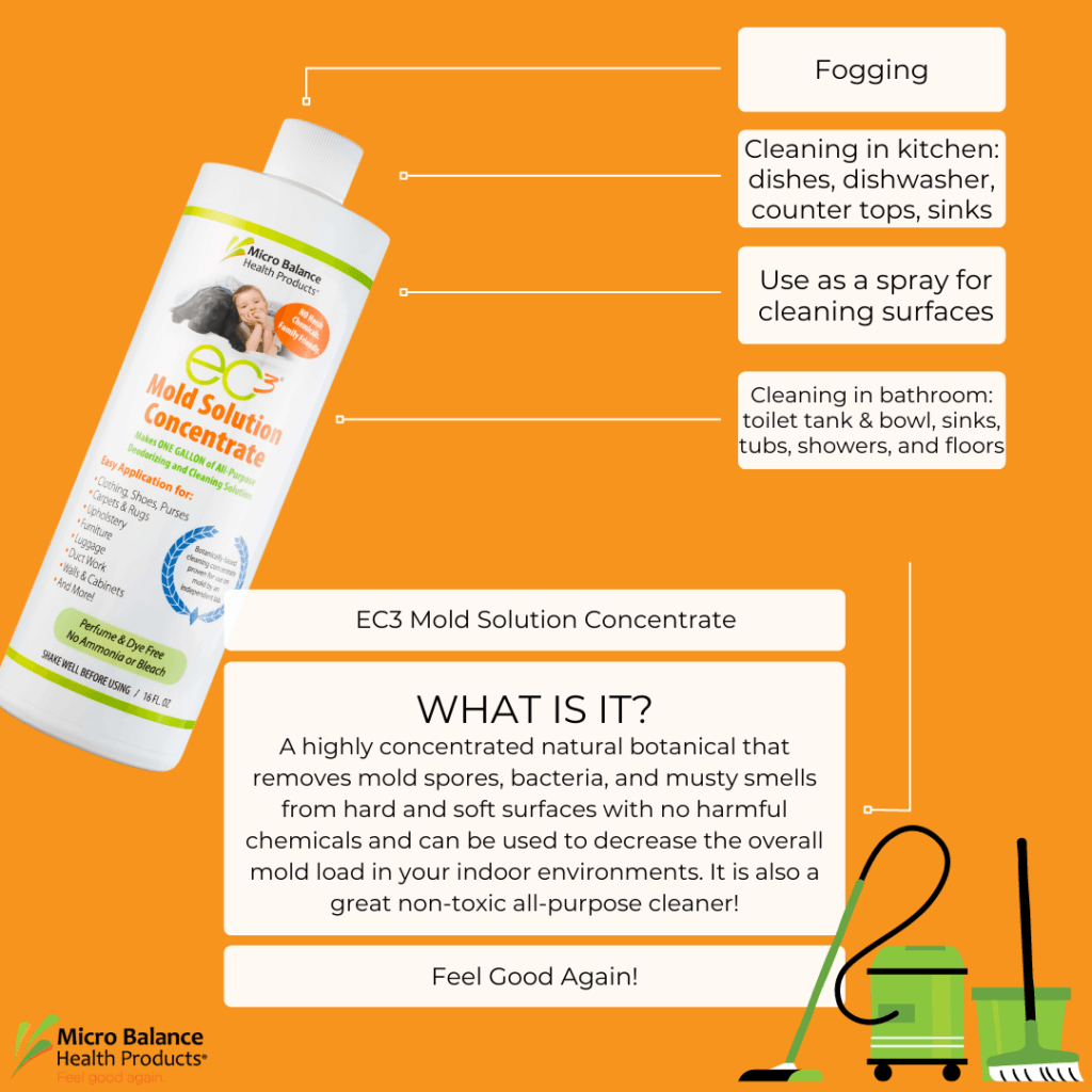 How to Detox From Mold Toxicity Part 1: Cleaning Your Environment